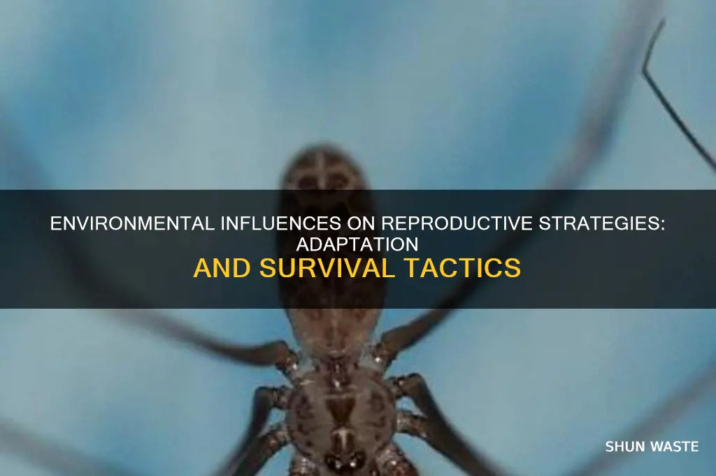 Environmental Influences On Reproductive Strategies: Adaptation And ...