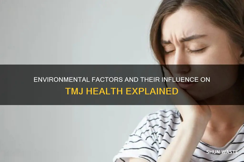 Environmental Factors And Their Influence On Tmj Health Explained ...