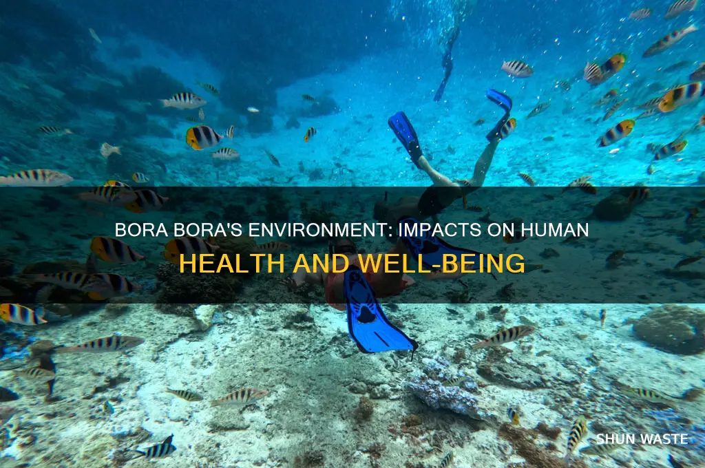 Bora Bora's Environment: Impacts On Human Health And Well-Being | ShunWaste
