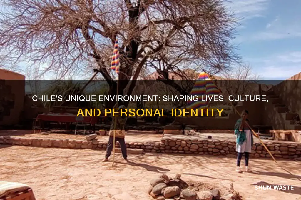 Chile's Unique Environment: Shaping Lives, Culture, And Personal ...