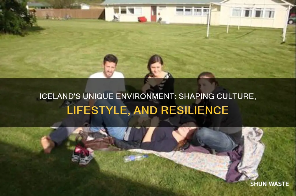 Iceland's Unique Environment: Shaping Culture, Lifestyle, And ...