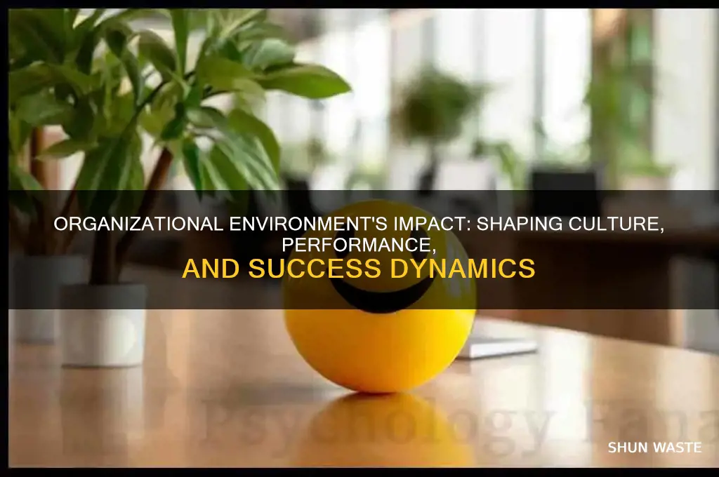 Organizational Environment's Impact: Shaping Culture, Performance, And ...