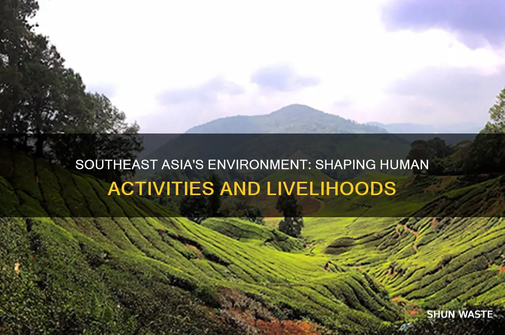 Southeast Asia's Environment: Shaping Human Activities And Livelihoods ...