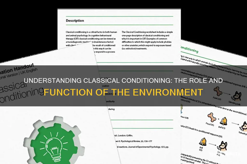 Understanding Classical Conditioning: The Role And Function Of The ...
