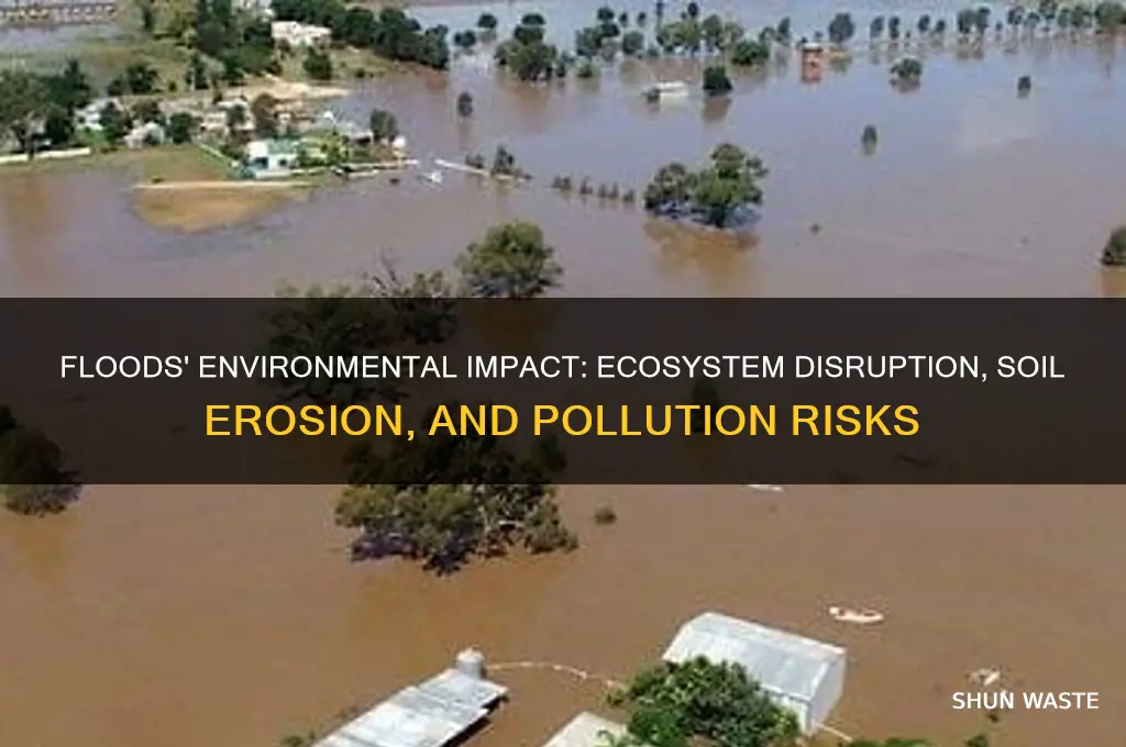 Floods' Environmental Impact: Ecosystem Disruption, Soil Erosion, And ...