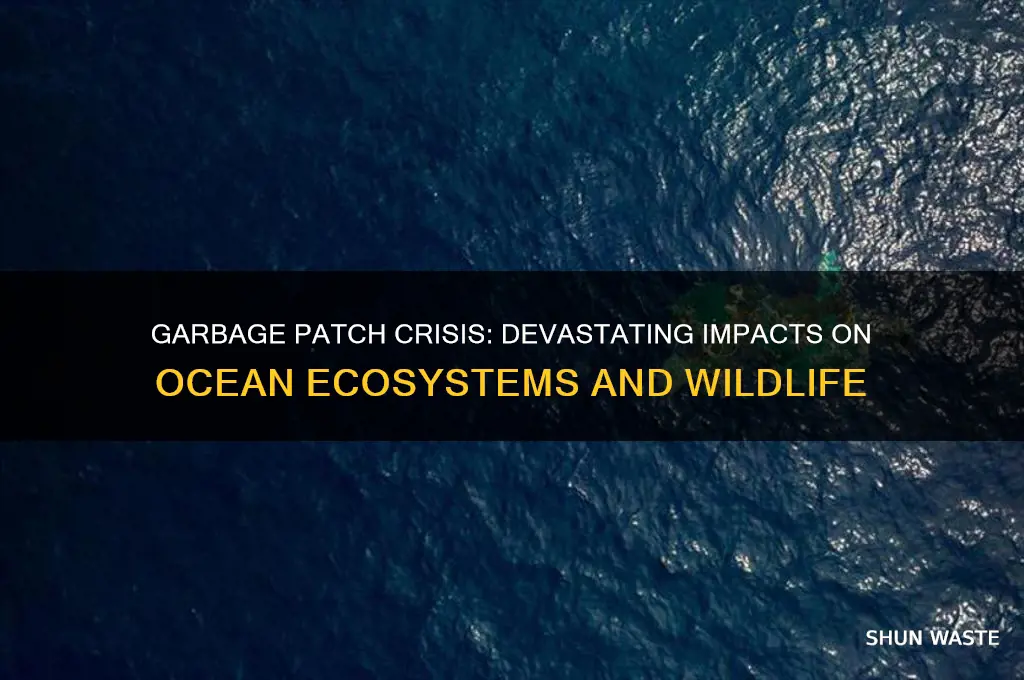 Garbage Patch Crisis: Devastating Impacts On Ocean Ecosystems And ...