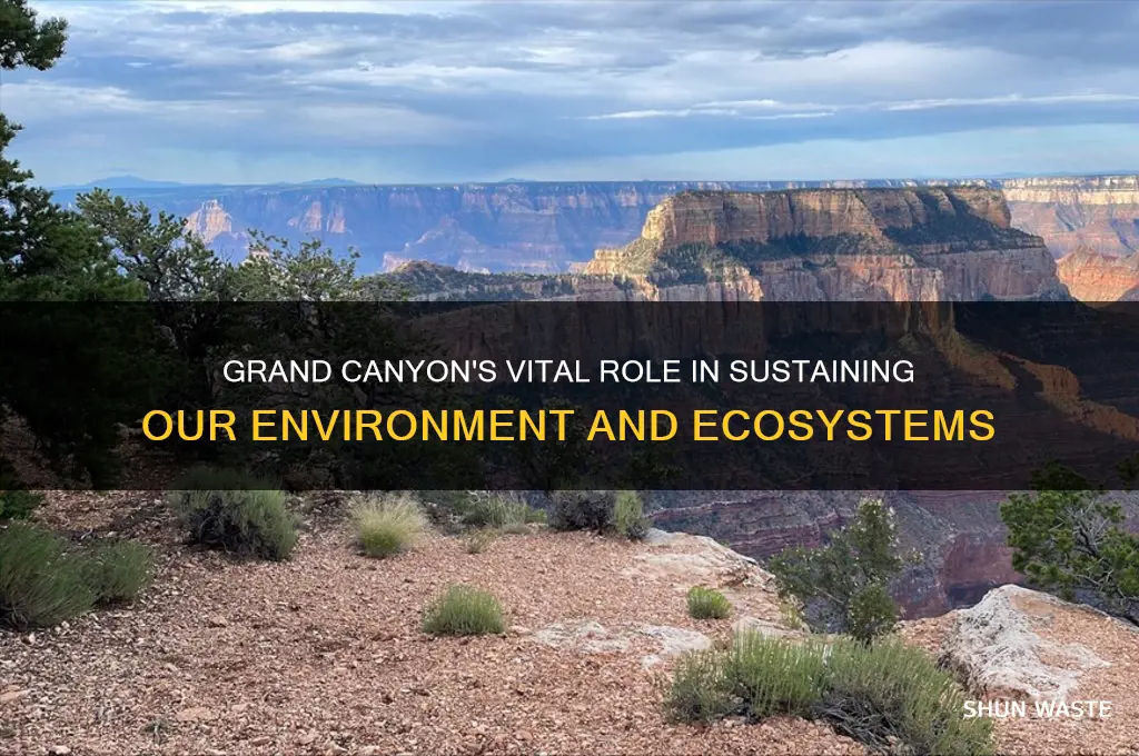 Grand Canyon's Vital Role In Sustaining Our Environment And Ecosystems ...
