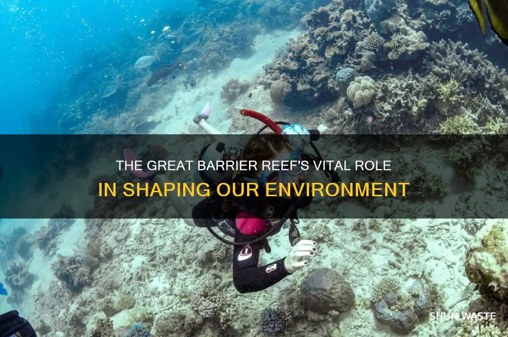 The Great Barrier Reef's Vital Role In Shaping Our Environment | ShunWaste