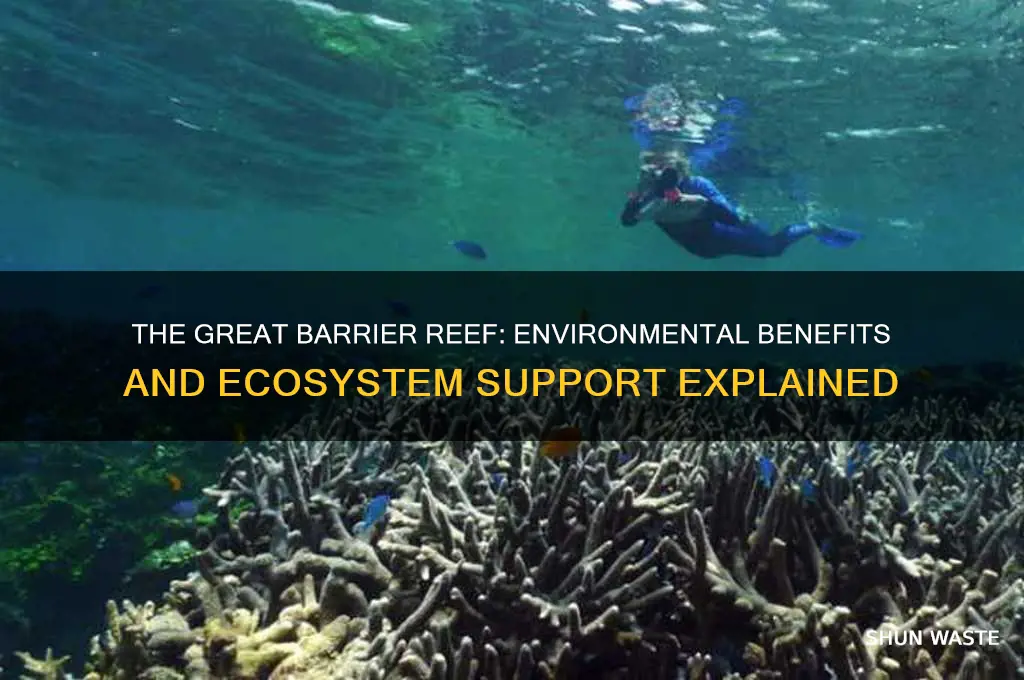 The Great Barrier Reef: Environmental Benefits And Ecosystem Support ...