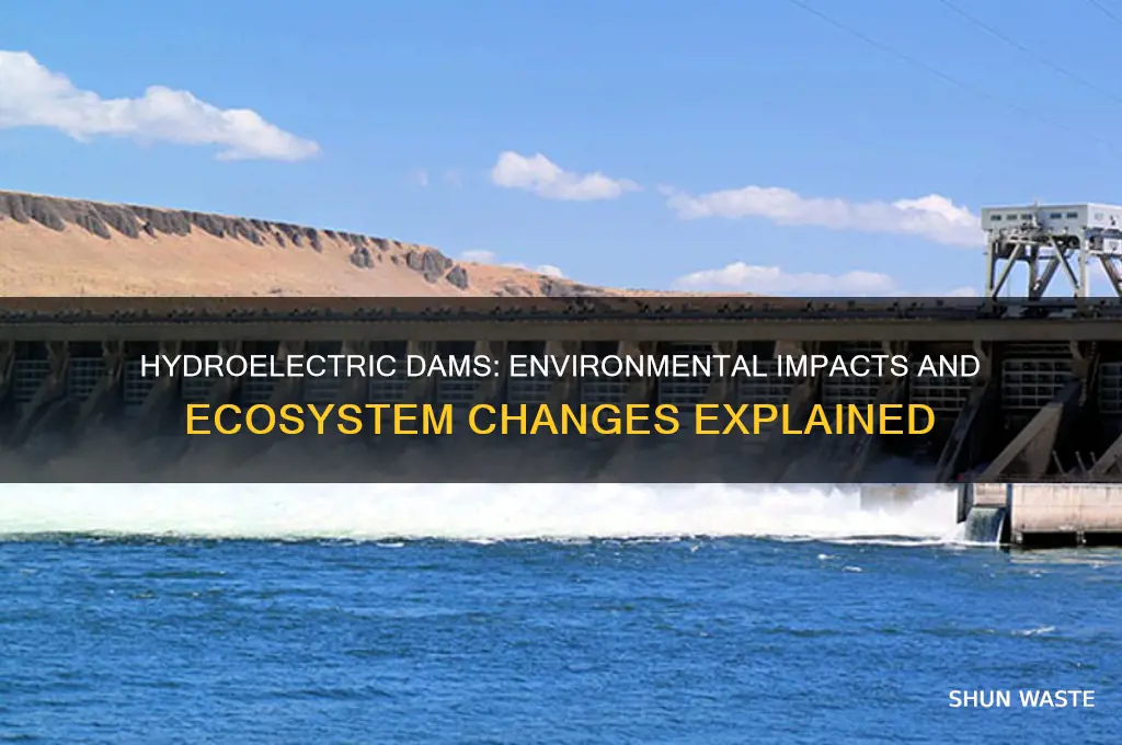 Hydroelectric Dams: Environmental Impacts And Ecosystem Changes ...