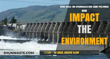 Hydroelectric Dams: Environmental Impacts And Ecosystem Consequences ...