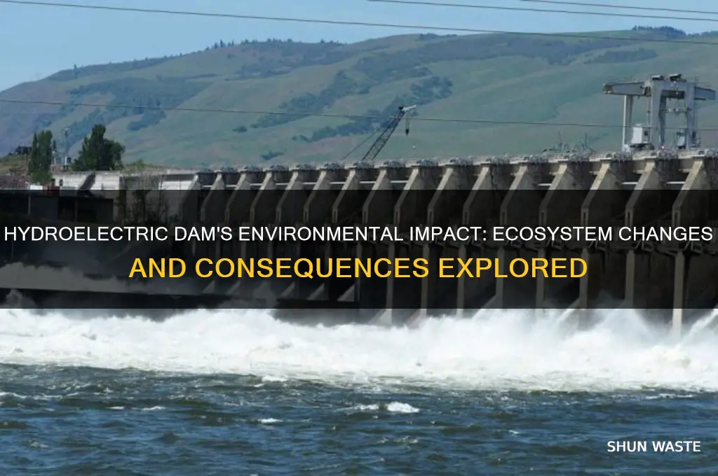 Hydroelectric Dam's Environmental Impact: Ecosystem Changes And ...
