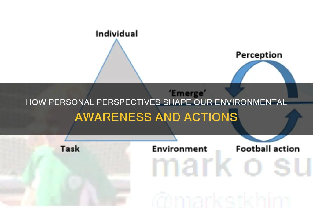 How Personal Perspectives Shape Our Environmental Awareness And Actions ...