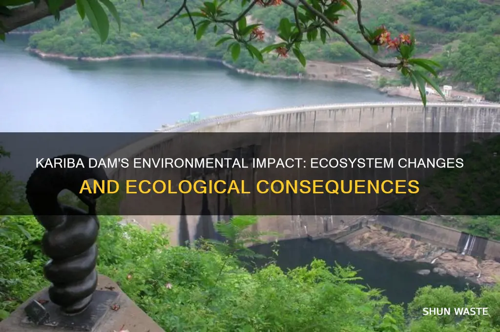 Kariba Dam's Environmental Impact: Ecosystem Changes And Ecological ...