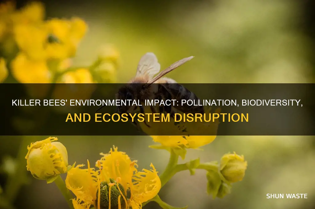 Killer Bees' Environmental Impact: Pollination, Biodiversity, And ...