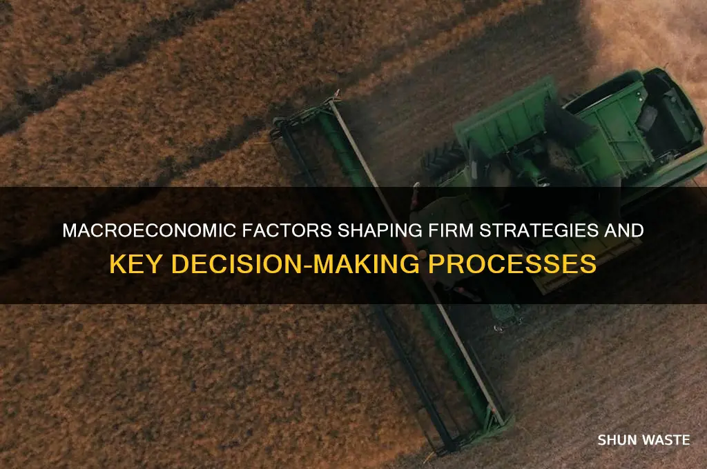 Macroeconomic Factors Shaping Firm Strategies And Key Decision-Making ...