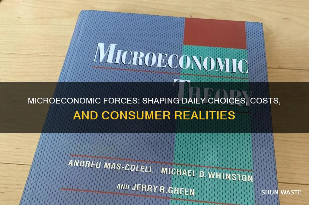 Microeconomic Forces: Shaping Daily Choices, Costs, And Consumer ...