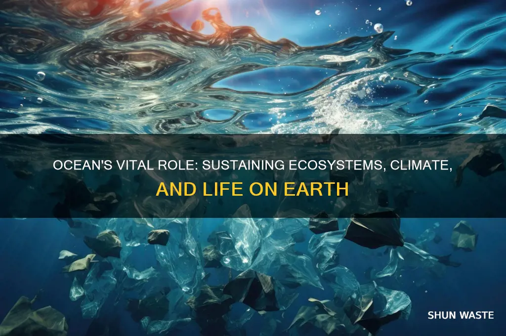 Ocean's Vital Role: Sustaining Ecosystems, Climate, And Life On Earth ...