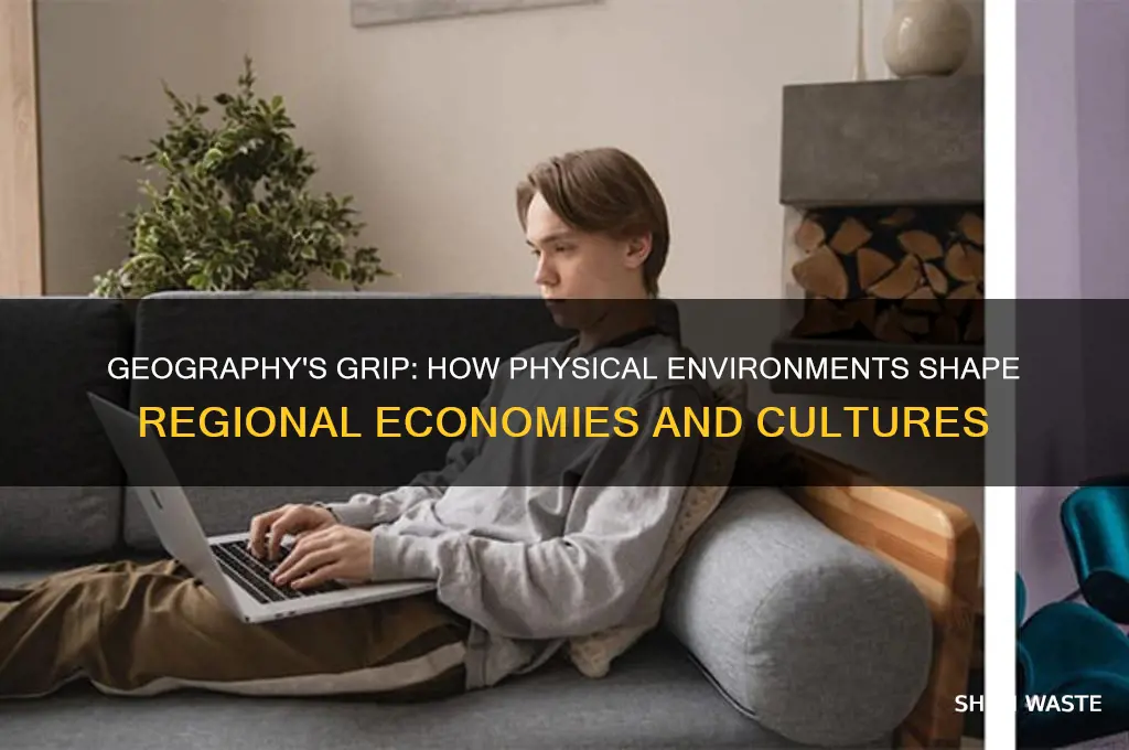 Geography's Grip: How Physical Environments Shape Regional Economies ...