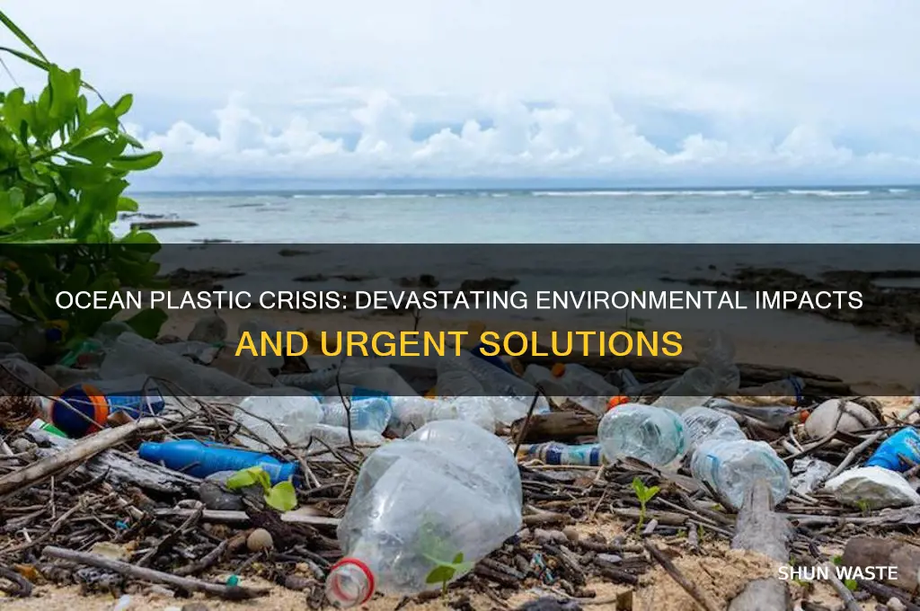 Ocean Plastic Crisis: Devastating Environmental Impacts And Urgent ...