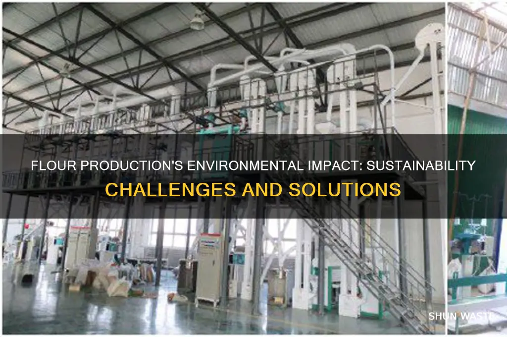 Flour Production's Environmental Impact: Sustainability Challenges And ...