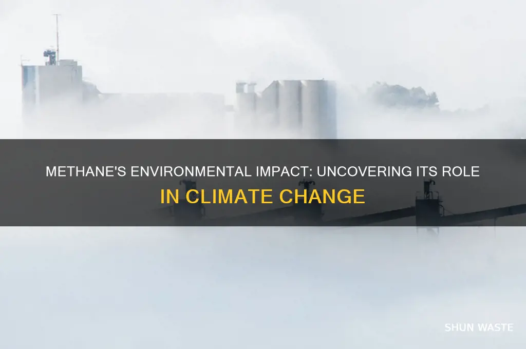 Methane's Environmental Impact: Uncovering Its Role In Climate Change ...