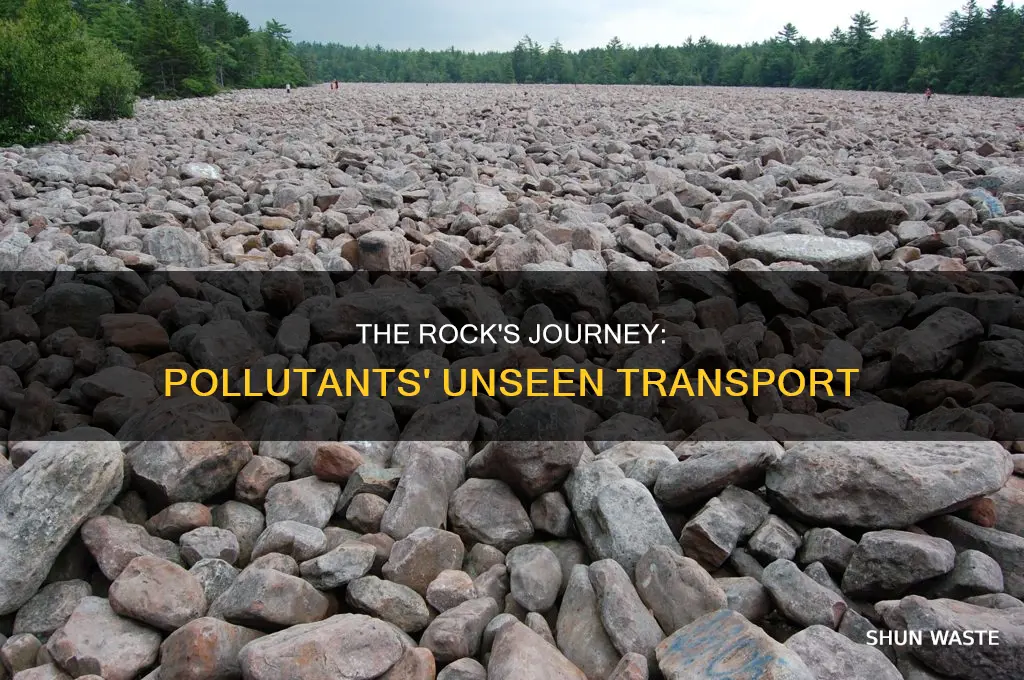 The Rock's Journey: Pollutants' Unseen Transport | ShunWaste