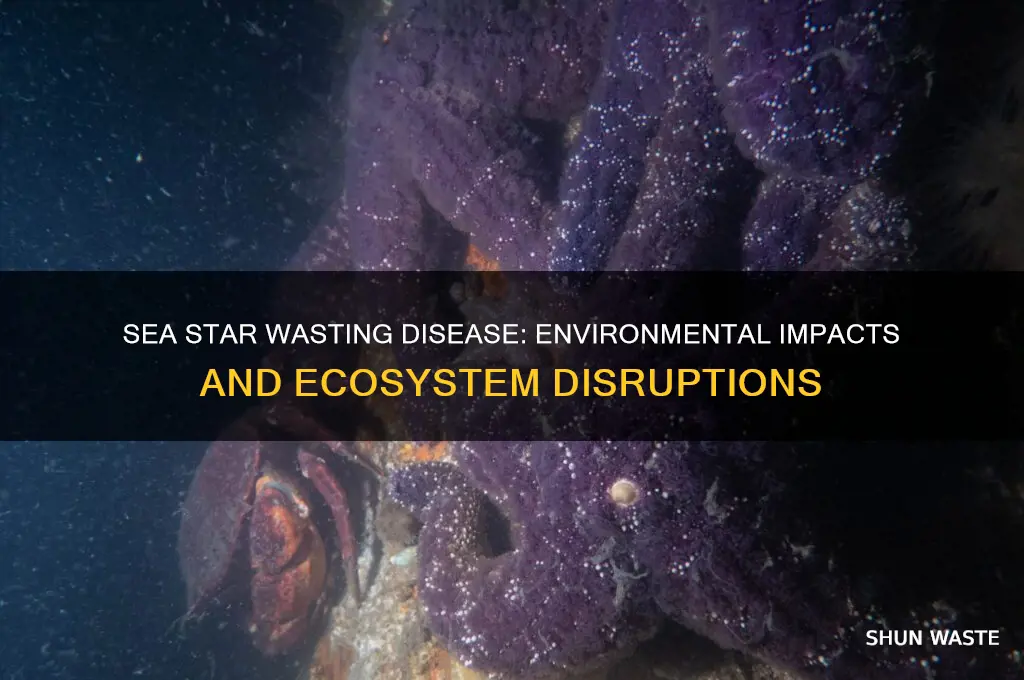 Sea Star Wasting Disease: Environmental Impacts And Ecosystem ...