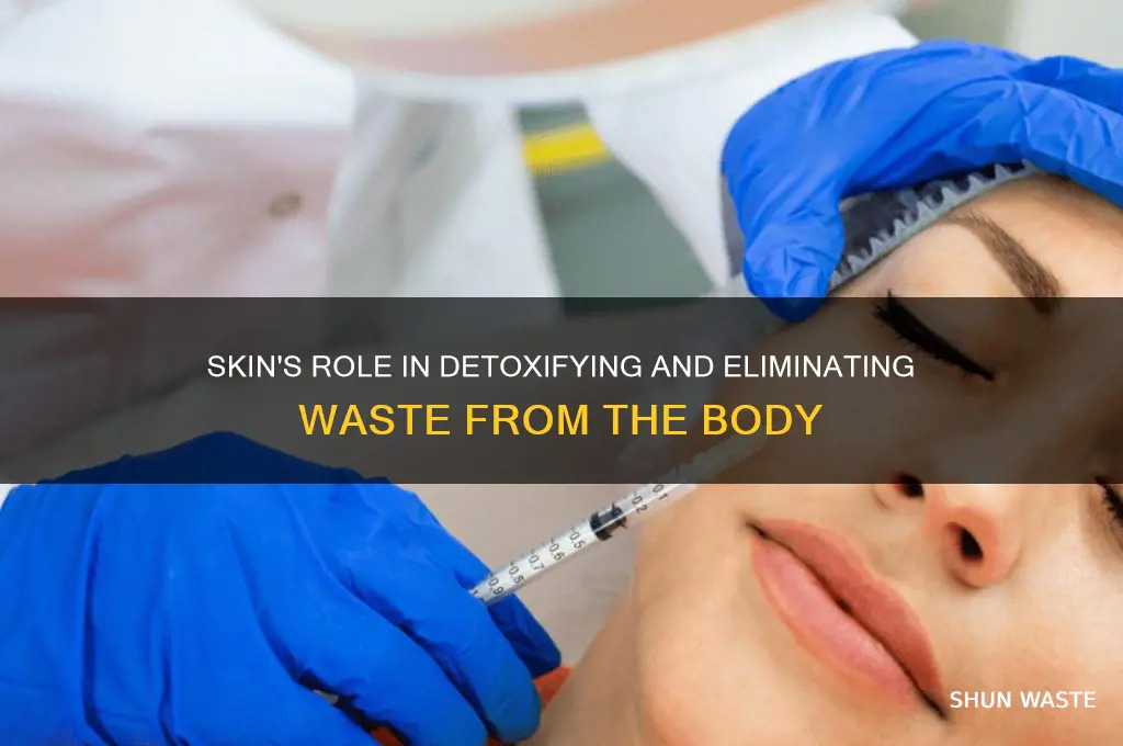 Skin's Role In Detoxifying And Eliminating Waste From The Body | ShunWaste
