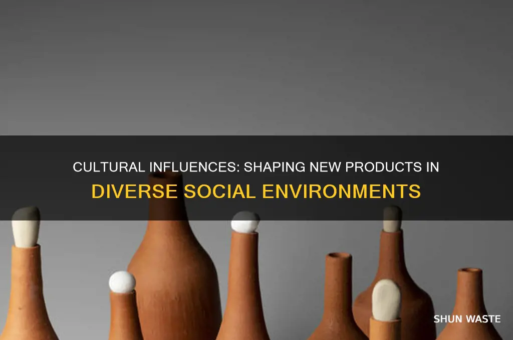 Cultural Influences: Shaping New Products In Diverse Social ...
