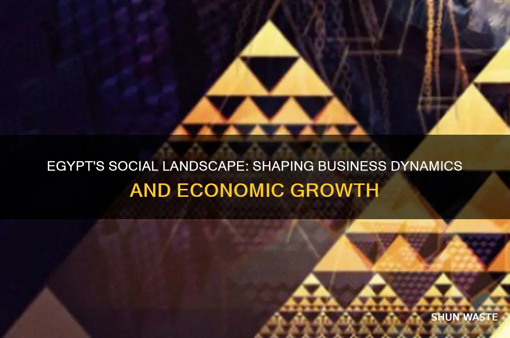 Egypt's Social Landscape: Shaping Business Dynamics And Economic Growth ...