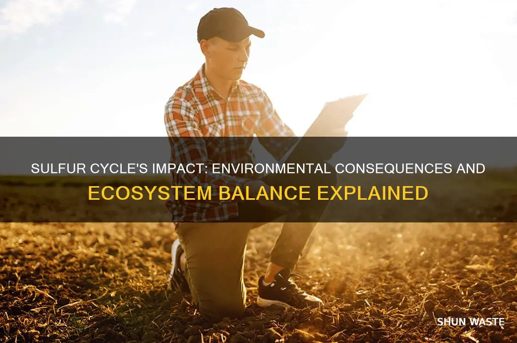 Sulfur Cycle's Impact: Environmental Consequences And Ecosystem Balance ...