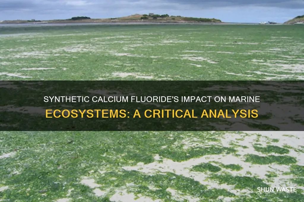 Synthetic Calcium Fluoride's Impact On Marine Ecosystems: A Critical ...