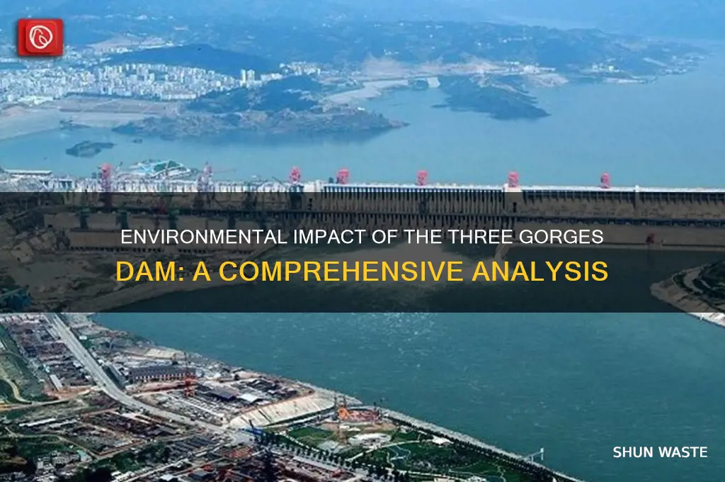 Environmental Impact Of The Three Gorges Dam: A Comprehensive Analysis ...