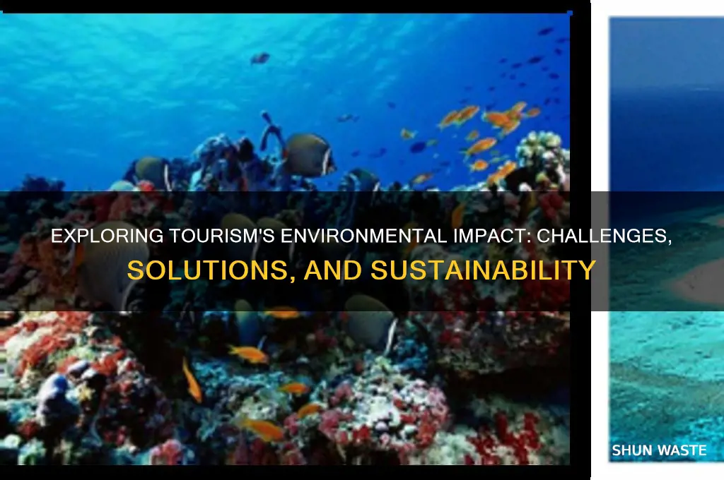 Exploring Tourism's Environmental Impact: Challenges, Solutions, And ...