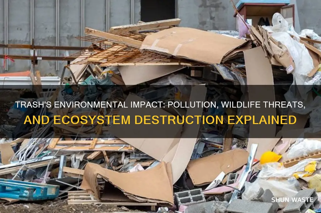 Trash's Environmental Impact: Pollution, Wildlife Threats, And ...