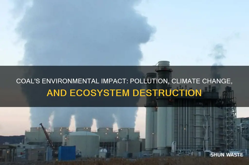 Coal's Environmental Impact: Pollution, Climate Change, And Ecosystem ...