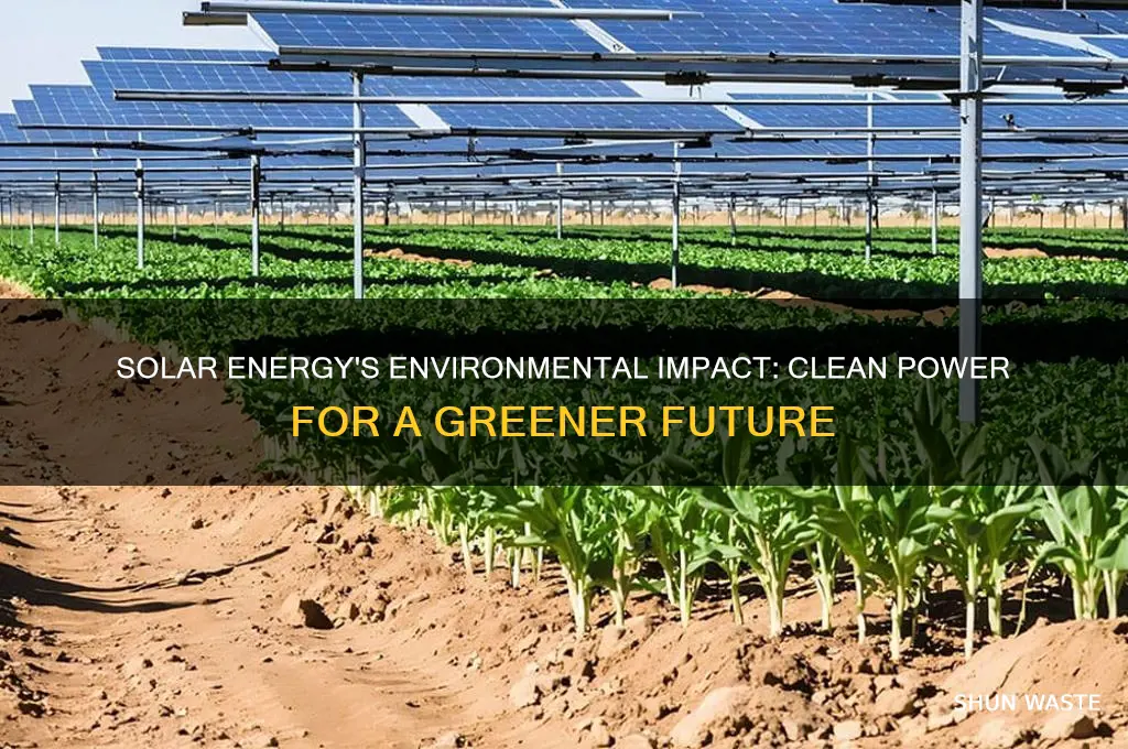 Solar Energy's Environmental Impact: Clean Power For A Greener Future ...