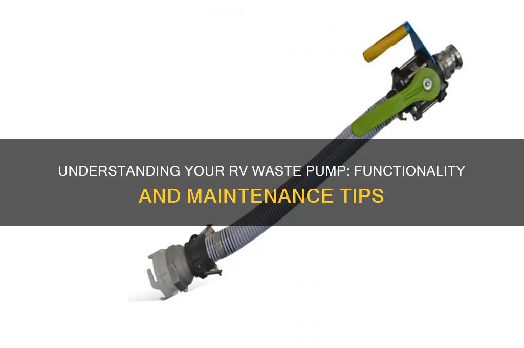 Understanding Your Rv Waste Pump: Functionality And Maintenance Tips ...