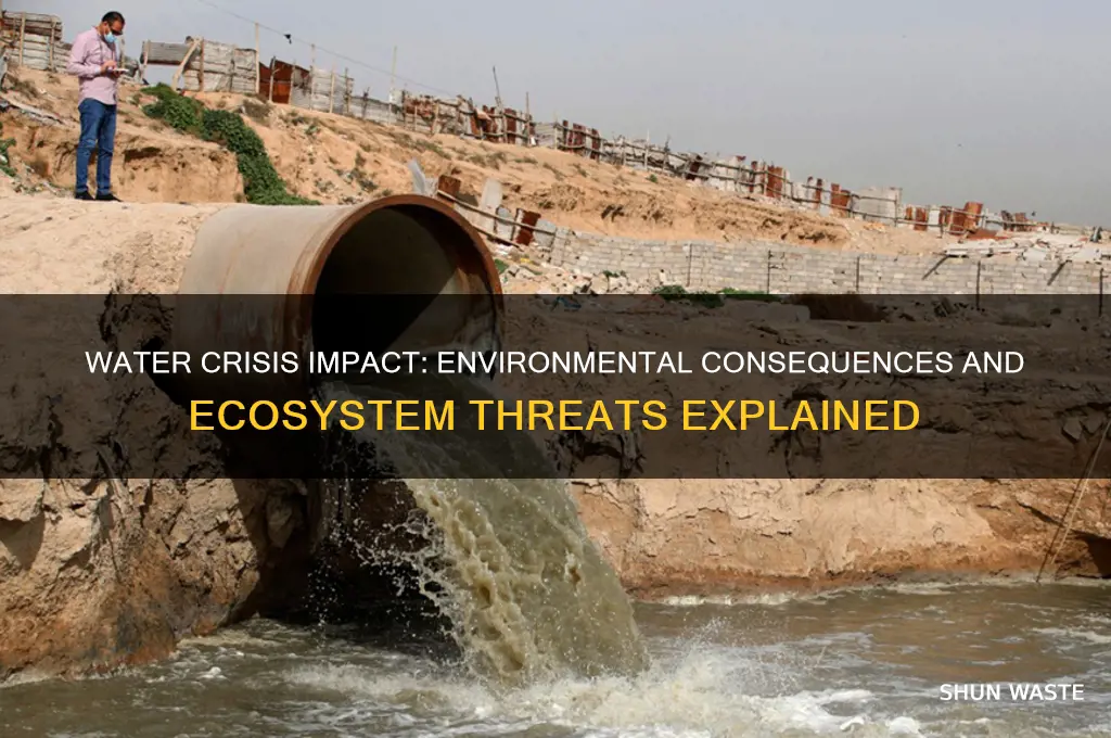 Water Crisis Impact: Environmental Consequences And Ecosystem Threats ...