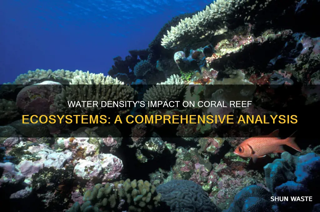 Water Density's Impact On Coral Reef Ecosystems: A Comprehensive ...