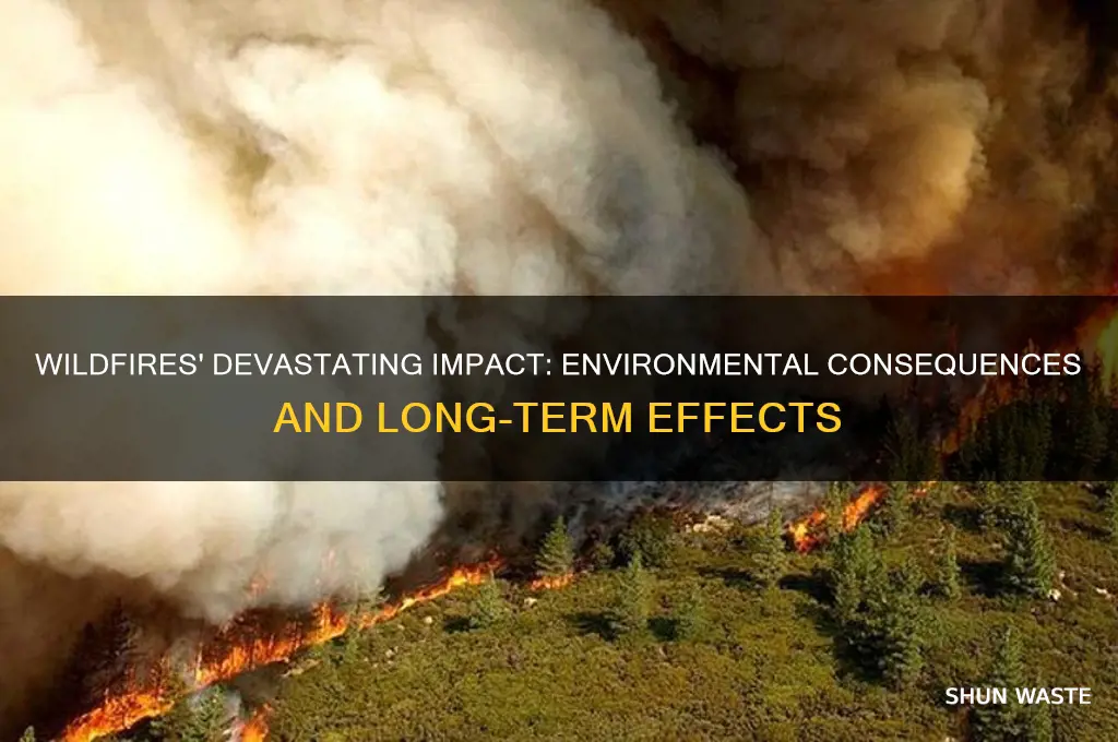 Wildfires' Devastating Impact: Environmental Consequences And Long-Term ...