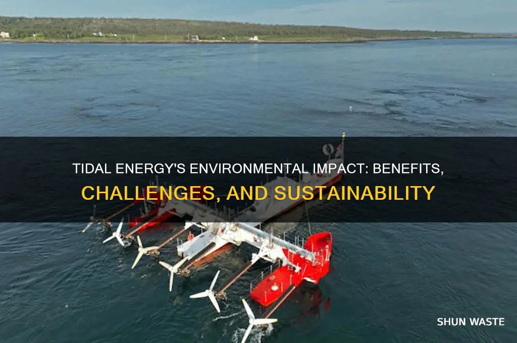 Tidal Energy's Environmental Impact: Benefits, Challenges, And ...