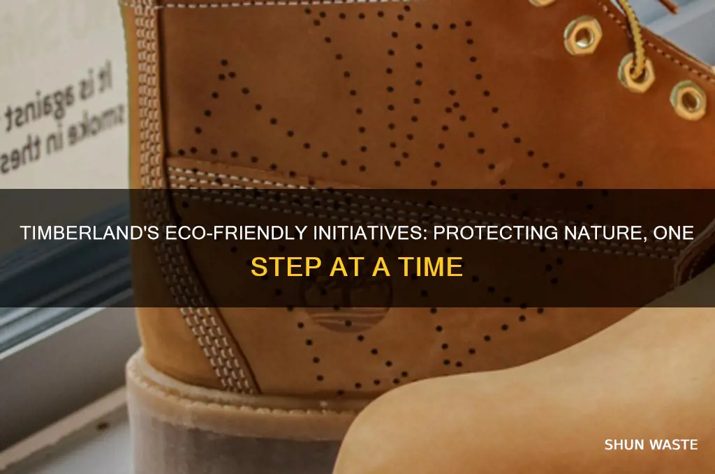 Timberland's Eco-Friendly Initiatives: Protecting Nature, One Step At A ...