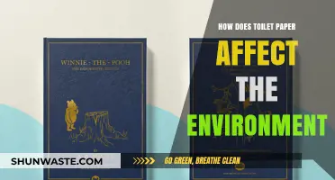 The Environmental Impact Of Discarding Clothes: A Hidden Crisis | ShunWaste