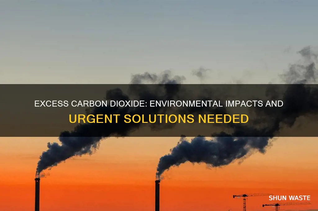 Excess Carbon Dioxide: Environmental Impacts And Urgent Solutions ...