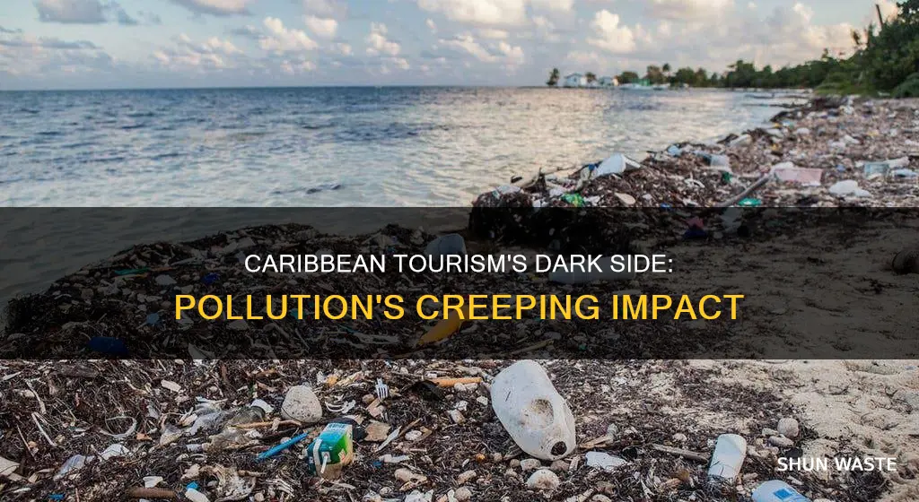 Caribbean Tourism's Dark Side: Pollution's Creeping Impact | ShunWaste