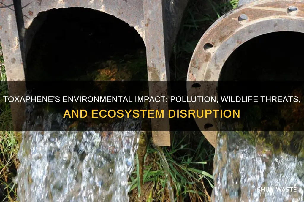 Toxaphene's Environmental Impact: Pollution, Wildlife Threats, And ...