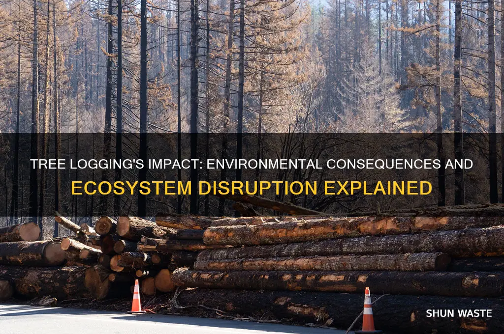 Tree Logging's Impact: Environmental Consequences And Ecosystem ...