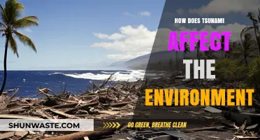 Typhoon's Environmental Impact: Destruction, Ecosystem Disruption, And ...